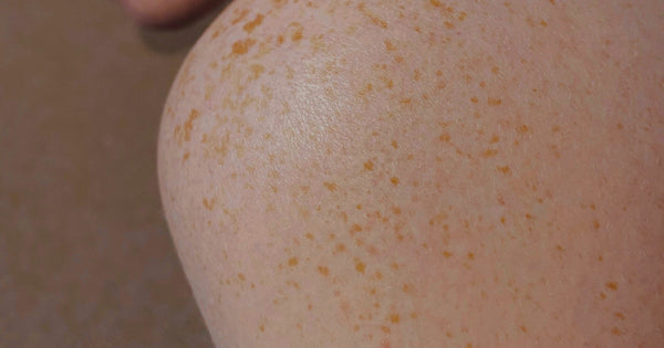 The Structure & Function of Skin - BEAUTOLOGY LAB